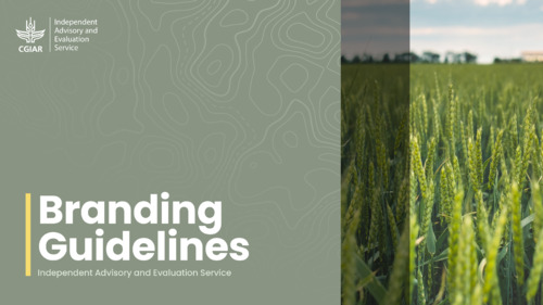 Branding Guidelines Iaes Cgiar Independent Advisory And Evaluation Services